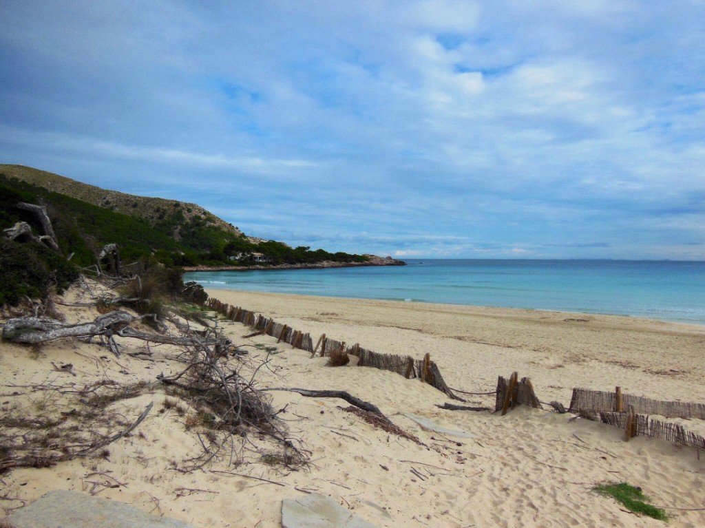 MallorcaGURU - Jeden Tag ein Stück Mallorca!