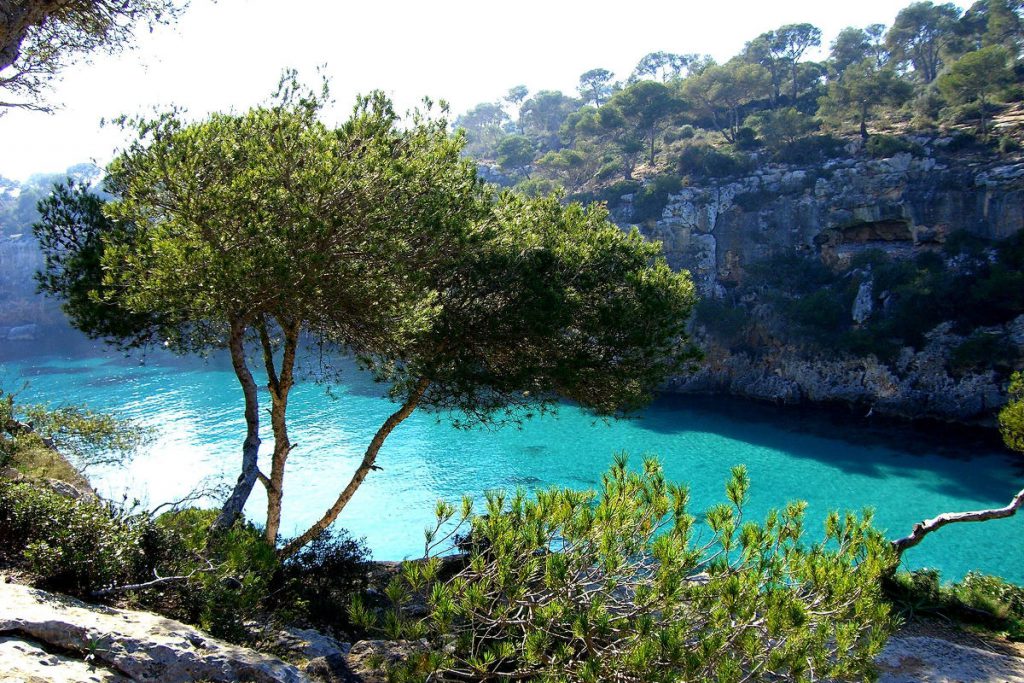 MallorcaGURU - Jeden Tag ein Stück Mallorca!