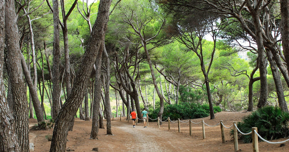084/365 An der Cala Agulla - MallorcaGURU